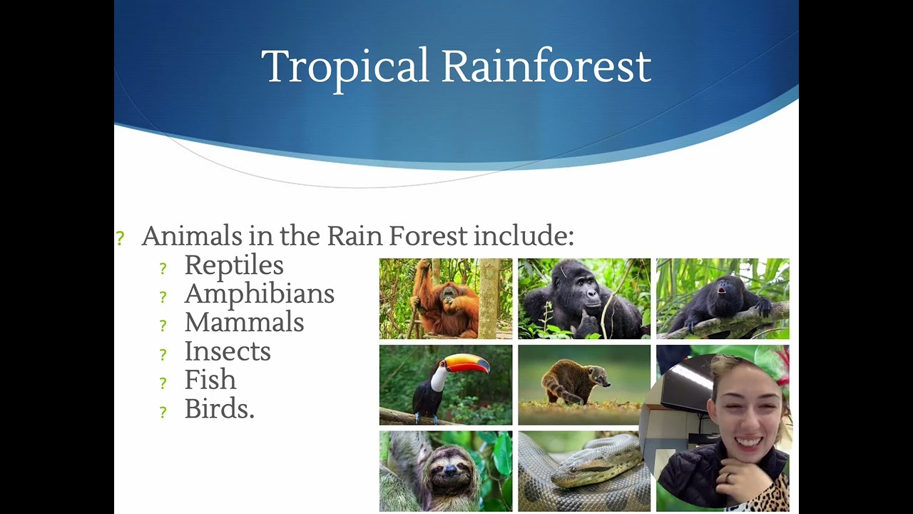 Biomes Powerpoint video