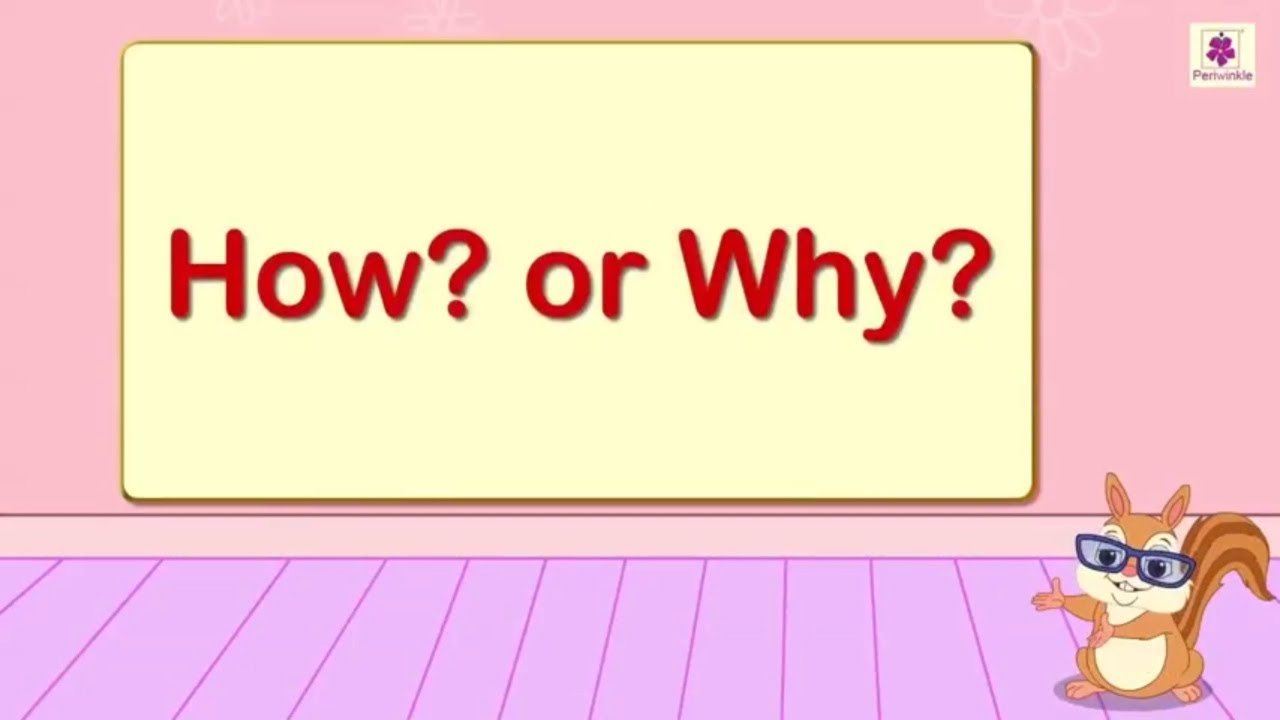 How? or Why? | English Grammar & Composition Grade 3 | Periwinkle