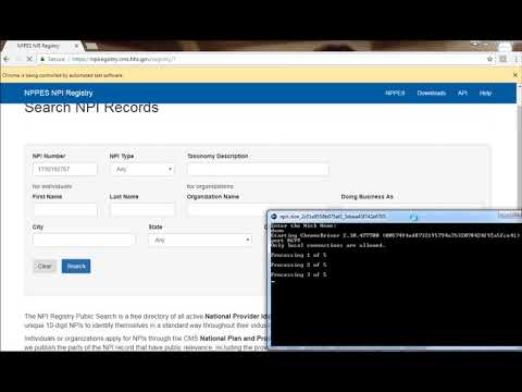 NPI Registry Automation