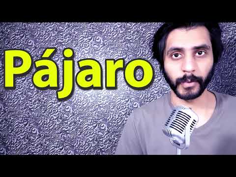 How To Pronounce Pajaro