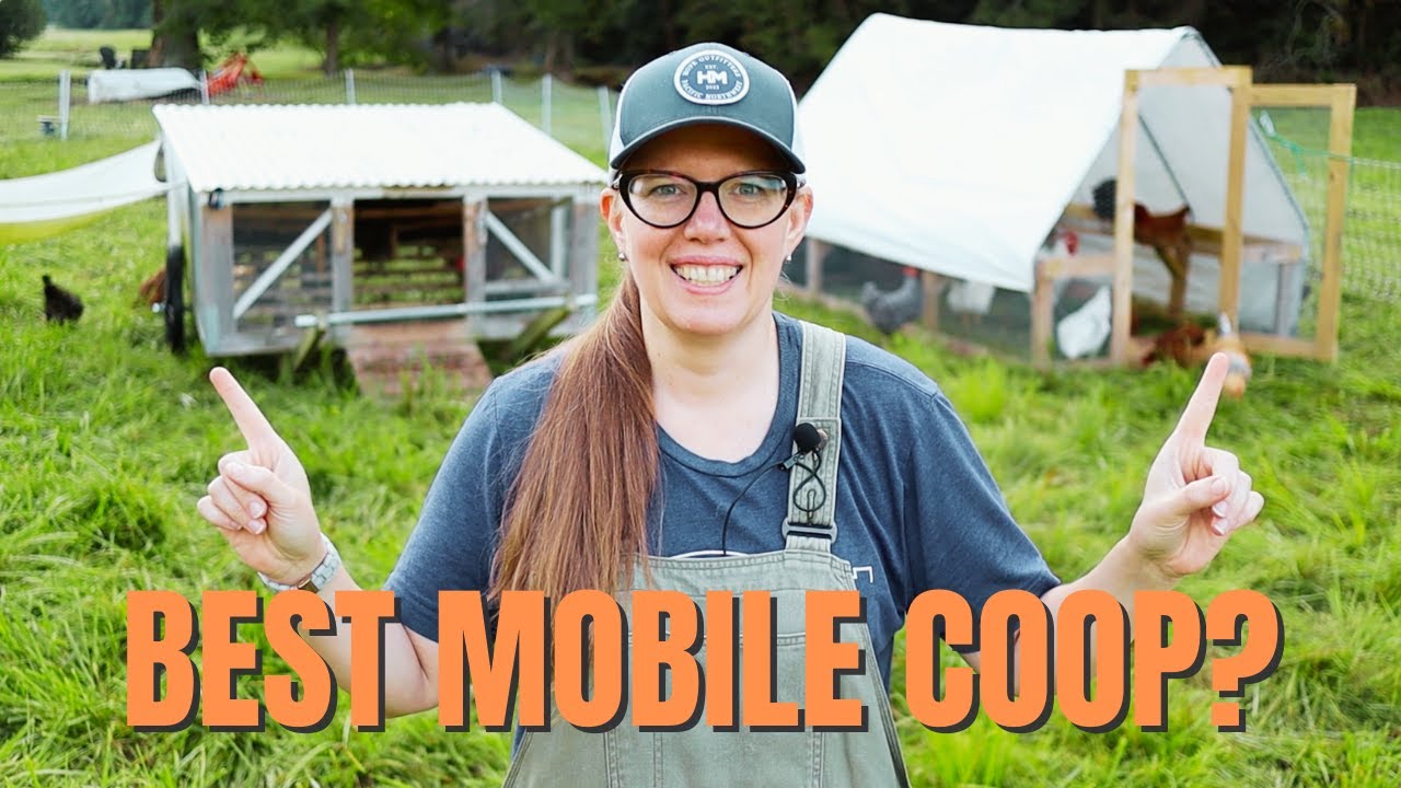 Best Mobile Chicken Coop? Chickshaw vs John Suscovich vs Salatin coops