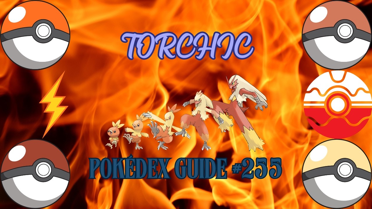 Complete Pokédex Entry: Torchic | Pokémon Database Series