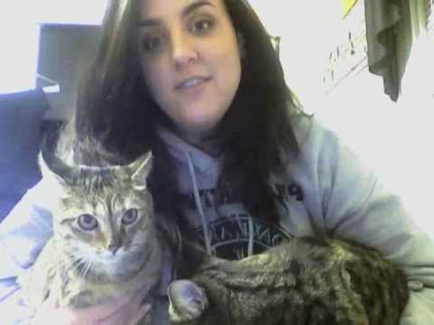 Wednesday is for a synonym for cat that could also describe a wimpy person....