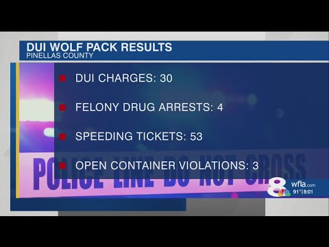 30 DUI arrests made, 190 citations issued in Pinellas County ‘Wolf Pack’ ahead of July 4