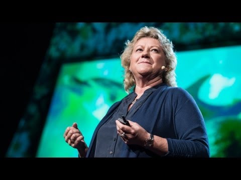 Could we speak the language of dolphins? | Denise Herzing