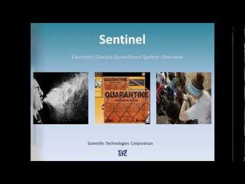Sentinel Overview