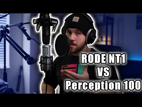 AKG Perception 100 - silver | Reverb