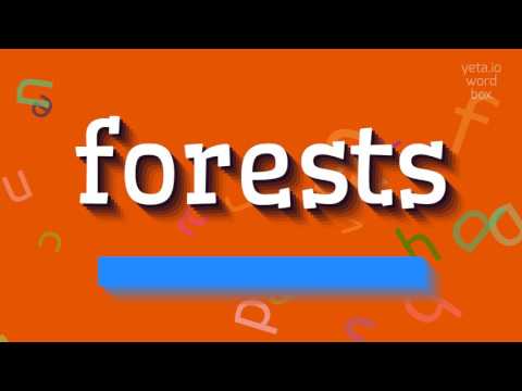How to say "forests"! (High Quality Voices)