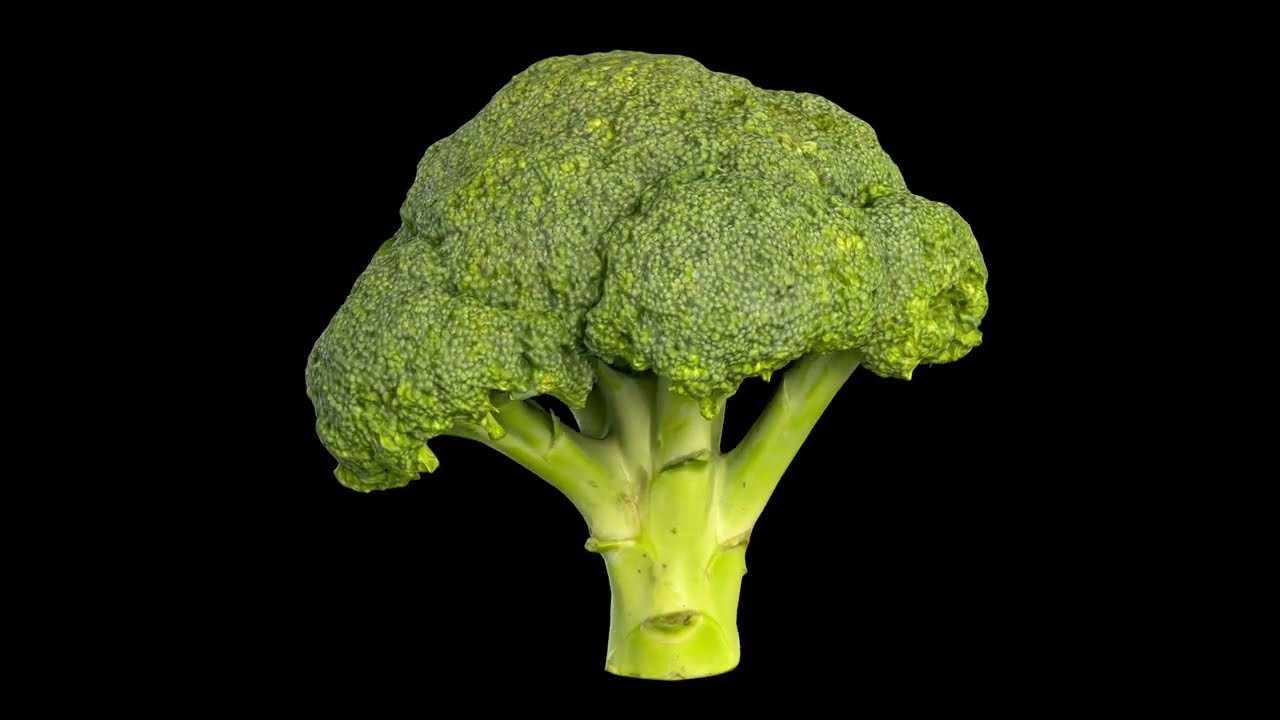 4k broccoli scanned 3d model