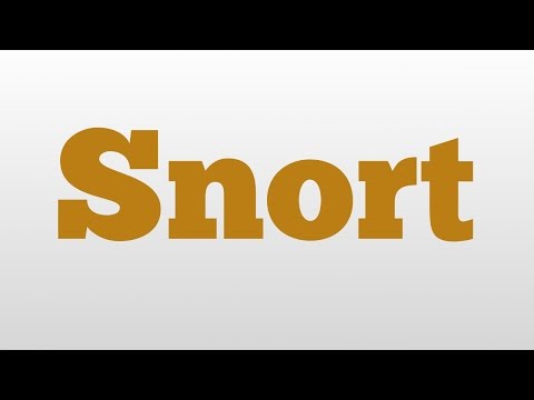 Snort meaning and pronunciation