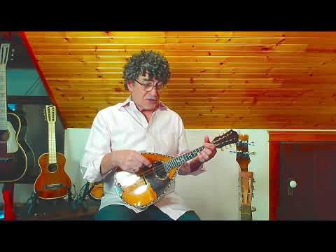 Supertone Mandolin Rosewood, Fully Restored, w/ Pearl 1930s, | Reverb