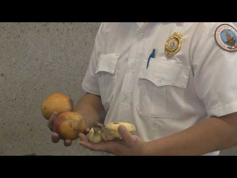 Hawaii Departures: Aloha from the Department of Agriculture