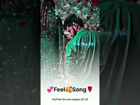 cuteβ€οΈlove couples stats#2024||couples song status2024 feel love song status #trending #short#video