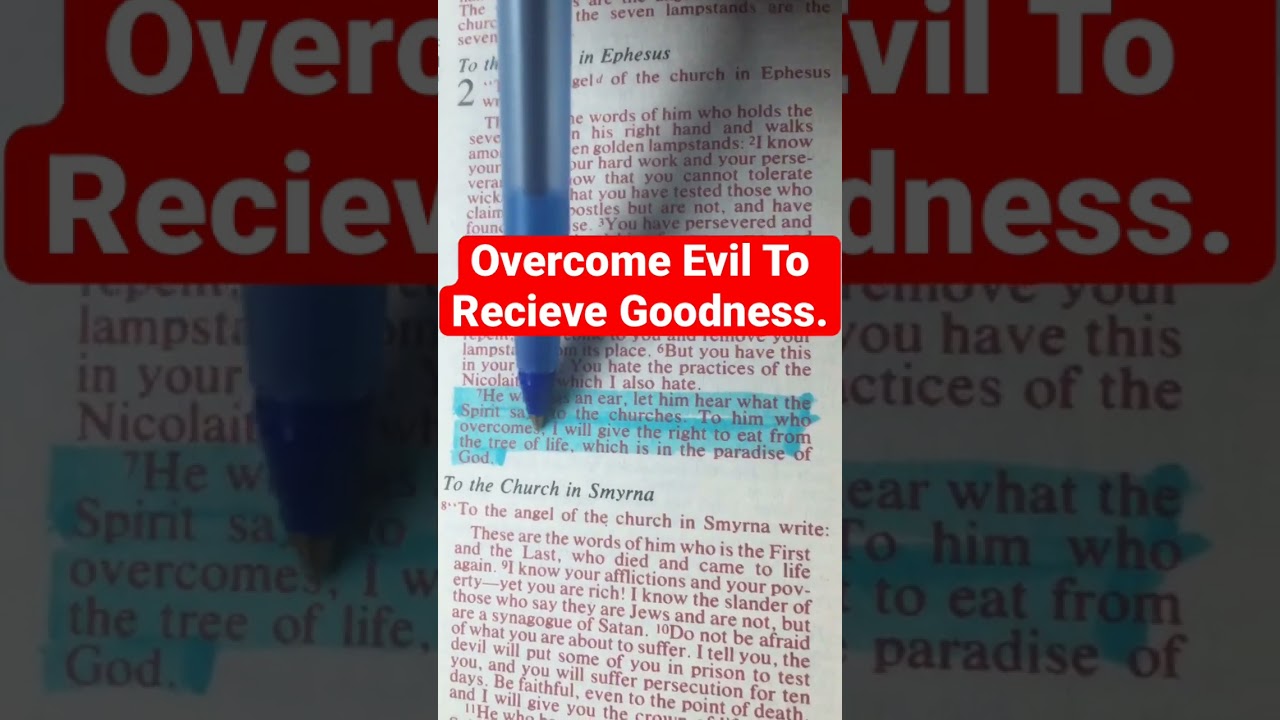 Overcome Evil By Doing #Good . Revelation 2:7 #israel