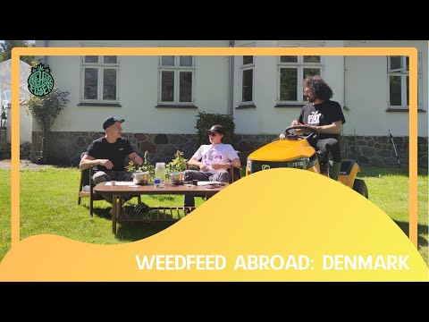 Weed Feed abroad: DENMARK