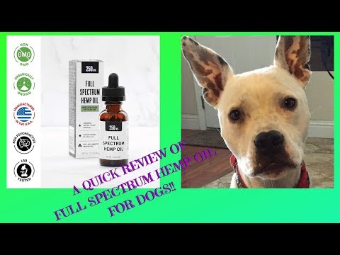 A QUICK REVIEW OF #CBD/#HEMP OIL FOR #DOGS
