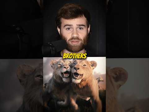 Mufasa and Scar are NOT brothers! #lionking #thelionking #simba #disney #rafiki