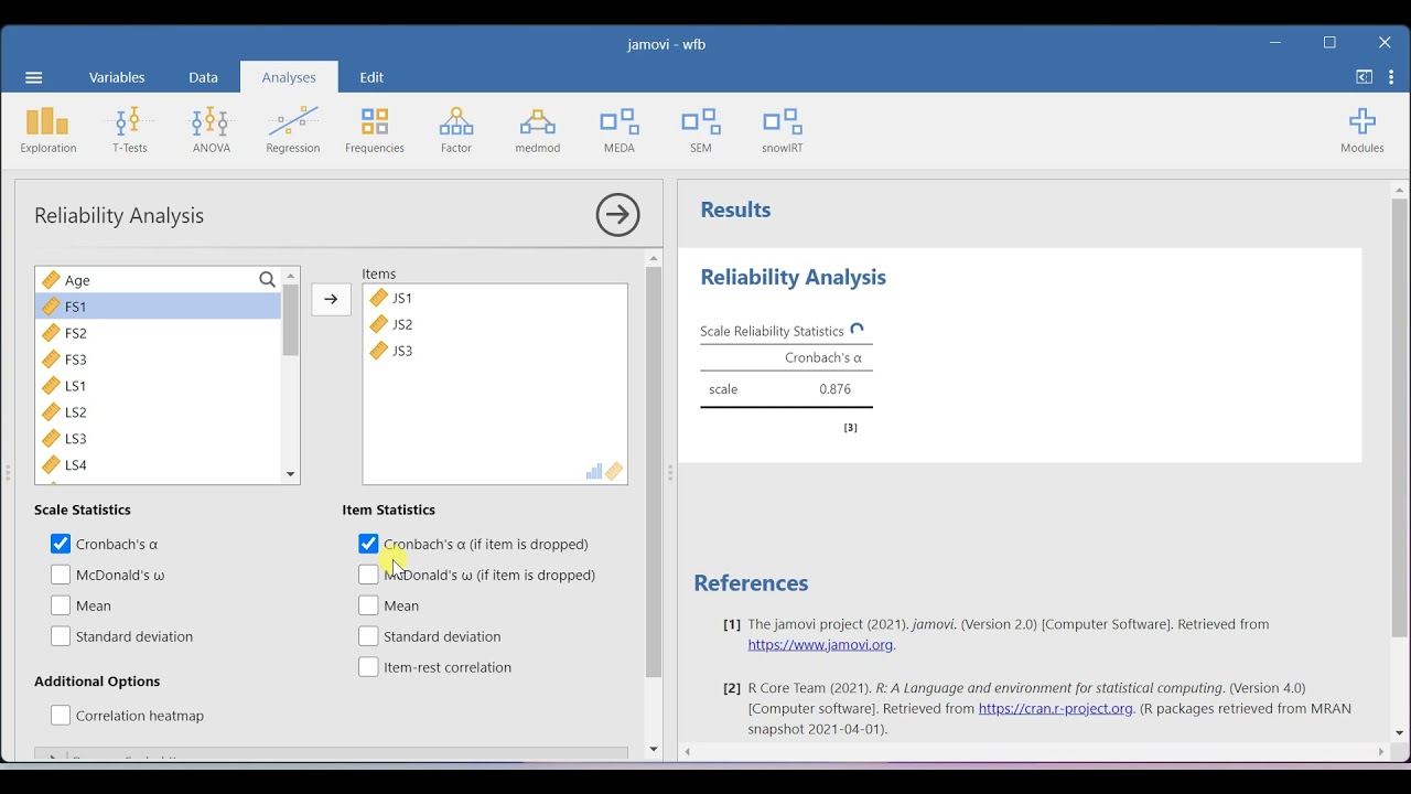 Reliability Analysis using JAMOVI