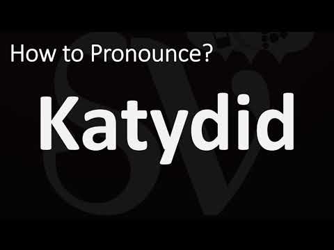 How to Pronounce Katydid? (CORRECTLY)