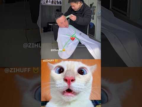 Only Legends See This Video... ☠️#cat #meme