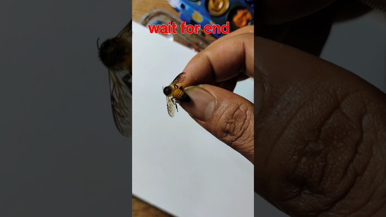 honey bee 🐝 #beedrawing #honeybee #drawing #art #artandcraft #viral #trending