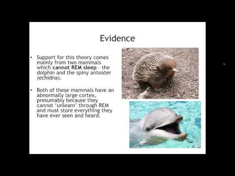Crick & Mitchison (1983) - Reorganisational Theory of Sleep & Dreams