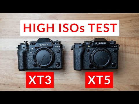 Fuji X-T3 vs X-T5: High ISO comparison (16588561)
