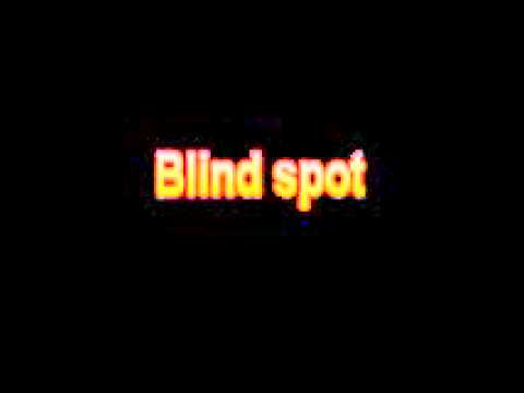 What Is The Definition Of Blind spot Medical Dictionary Free Online