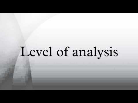 Level of analysis
