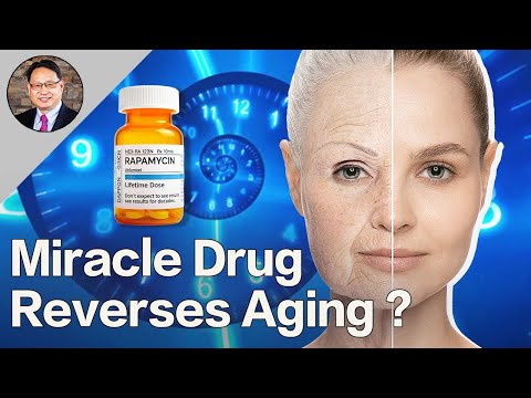 Can a Pill Help You Live Longer? The Truth About Rapamycin and Longevity.