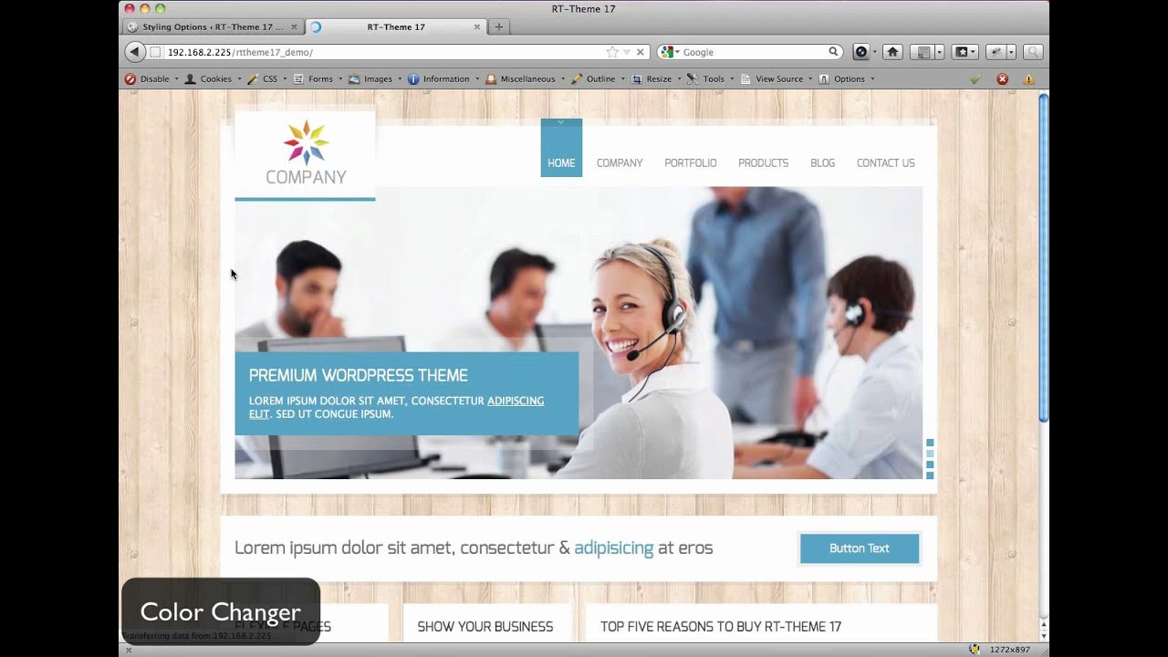 RT-Theme 17 - Styling Options