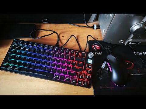 HATOR Icefall Pro Wireless keyboard vs shadow Thustmaster T300 wheel