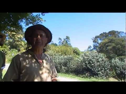 Brogo Permaculture Gardens with John Champagne