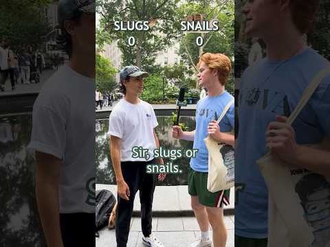 asking new yorkers: slugs or snails?