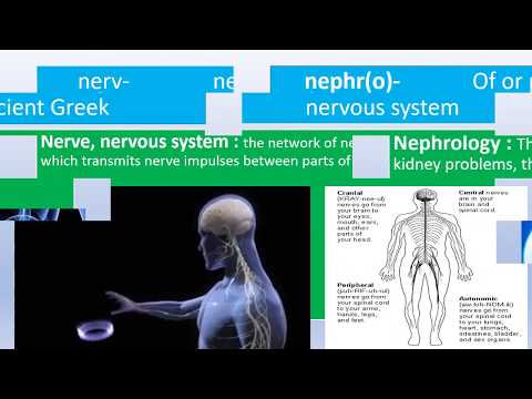 MEDICAL TERMS  [ N ] PREFIXES, ROOTS, SUFFIXES