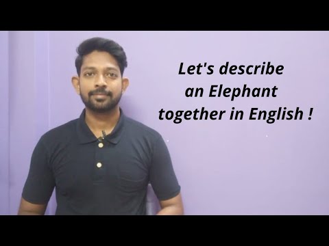 Let's describe an elephant together !