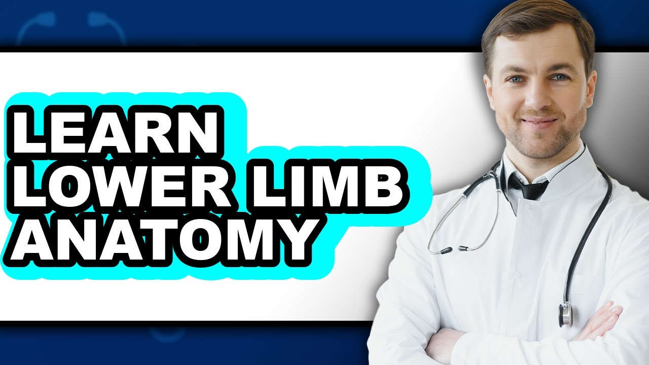 How to Learn Lower Limb Anatomy - Easy Guide