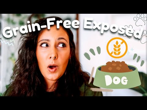 Unmasking the Myths of Grain-Free Dog Food & Pet Health