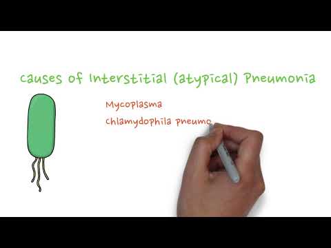 PNEUMONIA LOBAR / BROCHOPNEUMONIA / INTERSTITIAL / CRYPTOGENIC: WHAT IS PNEUMONIA? USMLE STEP 1