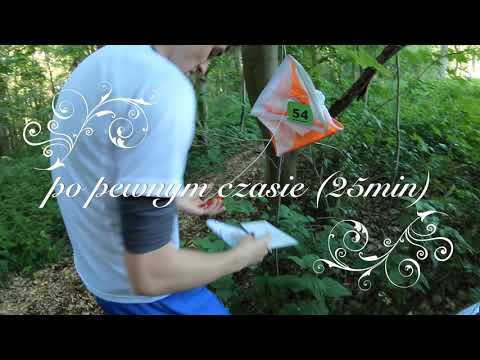 World Orienteering Day 2018