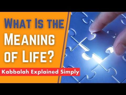 What Is the Meaning of Life?