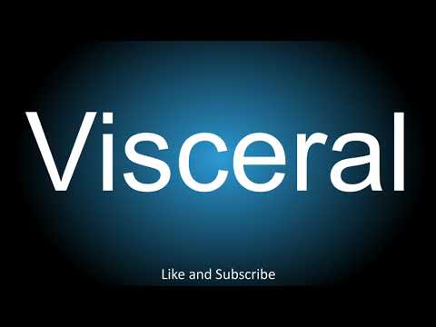 How to correctly pronounce - Visceral.