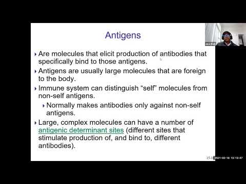 Chapter 15 The Immune System Part 2
