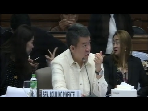 Joint Congressional Oversight Committee on the Automated Election System (February 7, 2019)