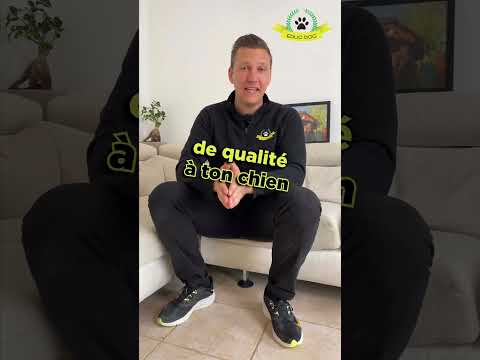 Prendre un chien dans une petite maison ou un petit appartement ne dépend pas de sa taille...