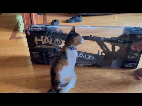 Aiden Bought a New Halo Scooter!