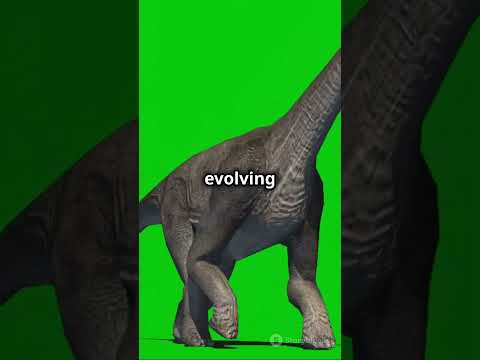 10 facts about the jurassic period