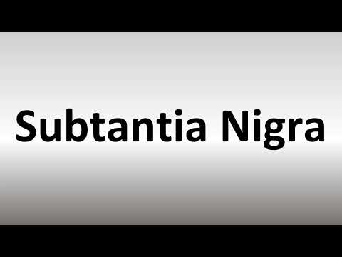 How to Pronounce Subtantia Nigra