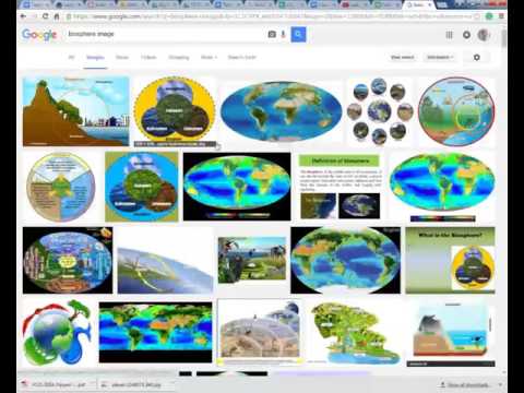 Biosphere Example